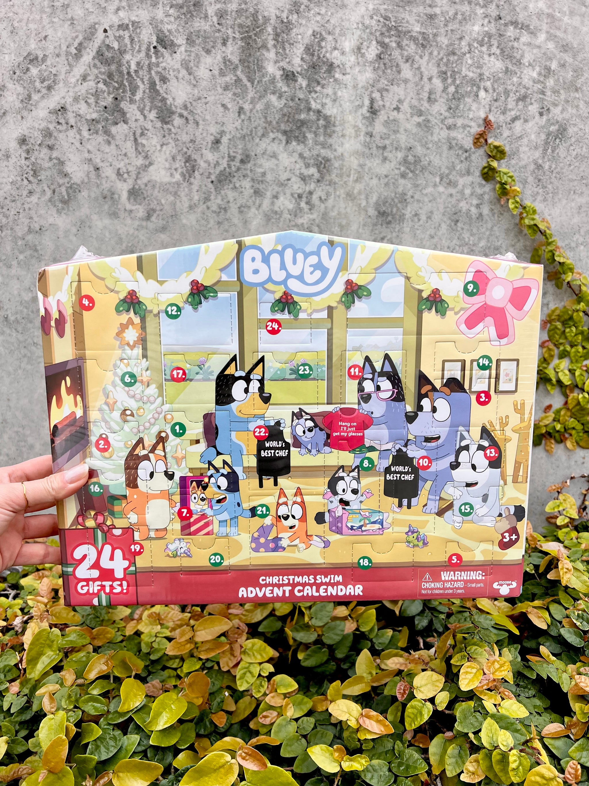 Bluey Advent Calendar Season 11 2024 – Tiny Paper Co.