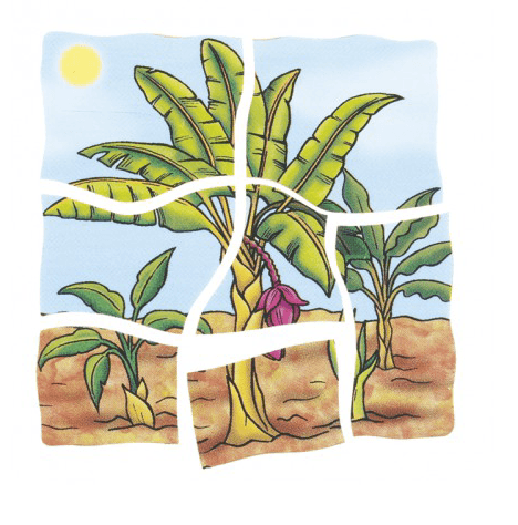 Five Layer Banana Puzzle - FINAL CLEARANCE – Tiny Paper Co.